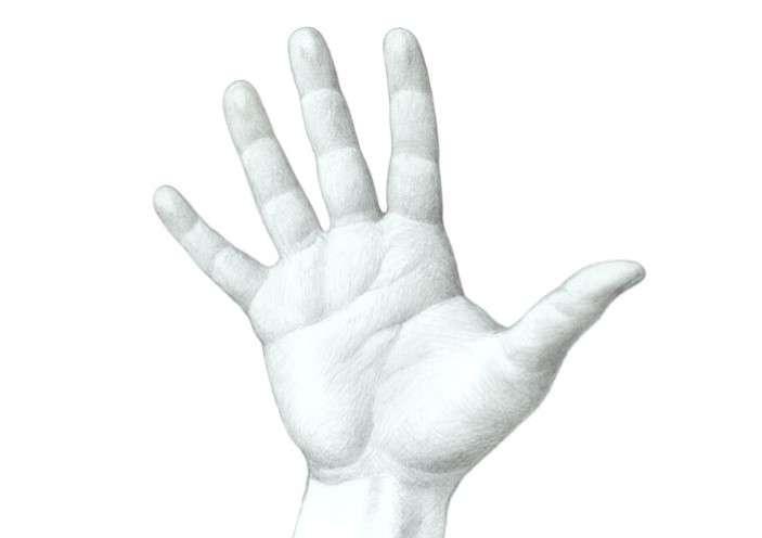 Cách vẽ bàn tay đẹp đơn giản nhất